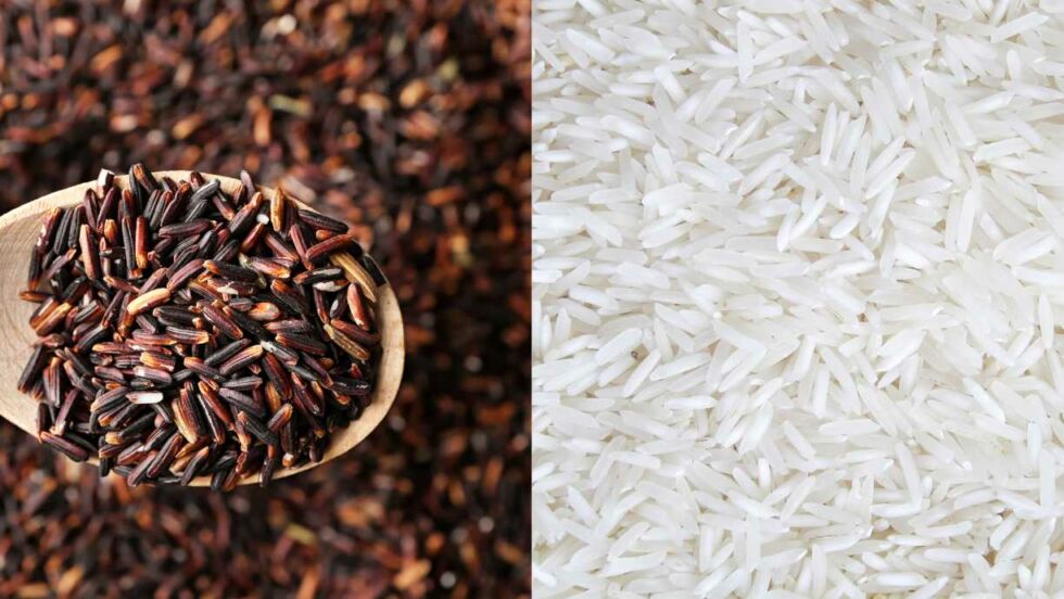 Le Grain de Riz : Origines, Variétés et Utilisations | Presto